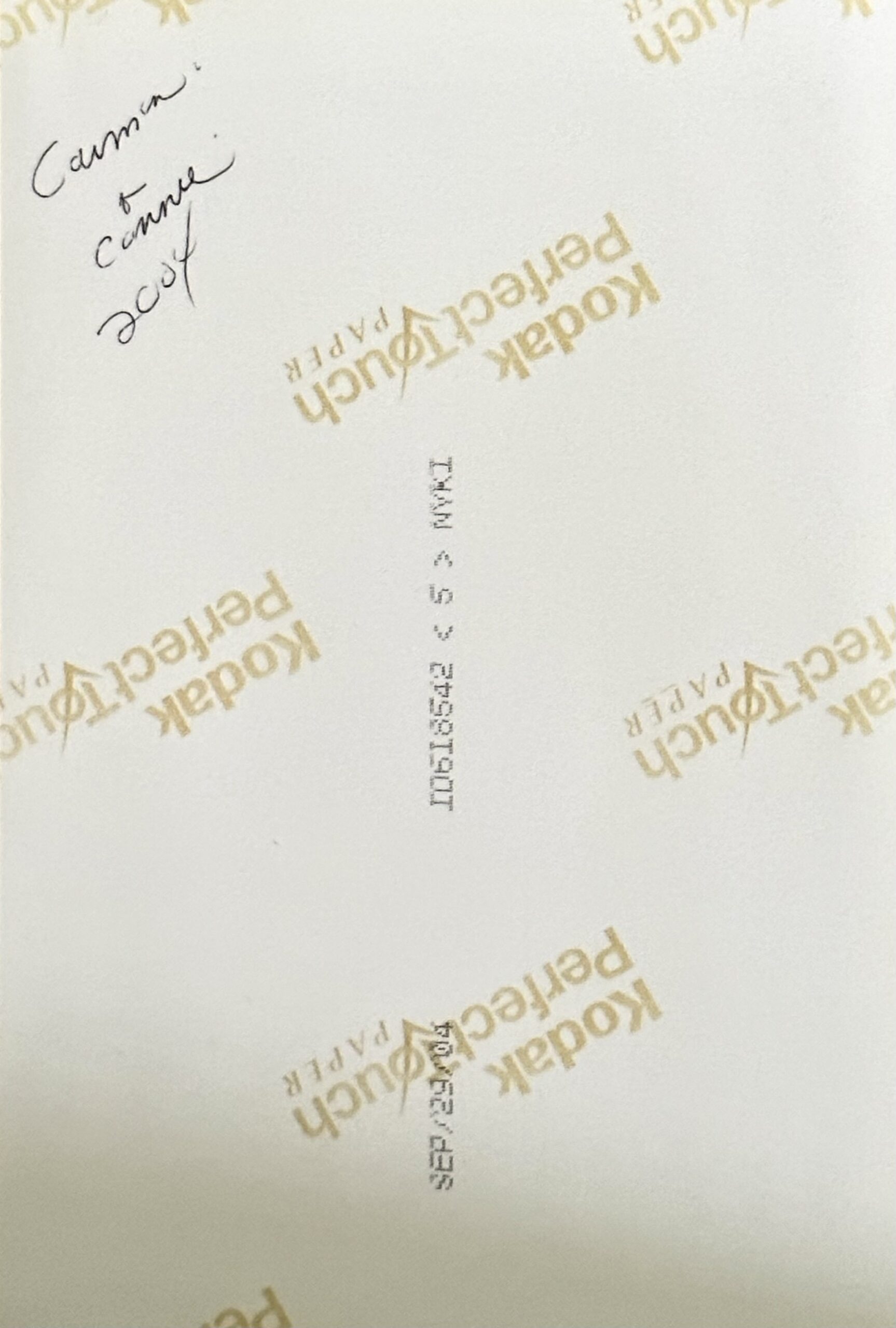 2004 Picnic - The Fraga Family